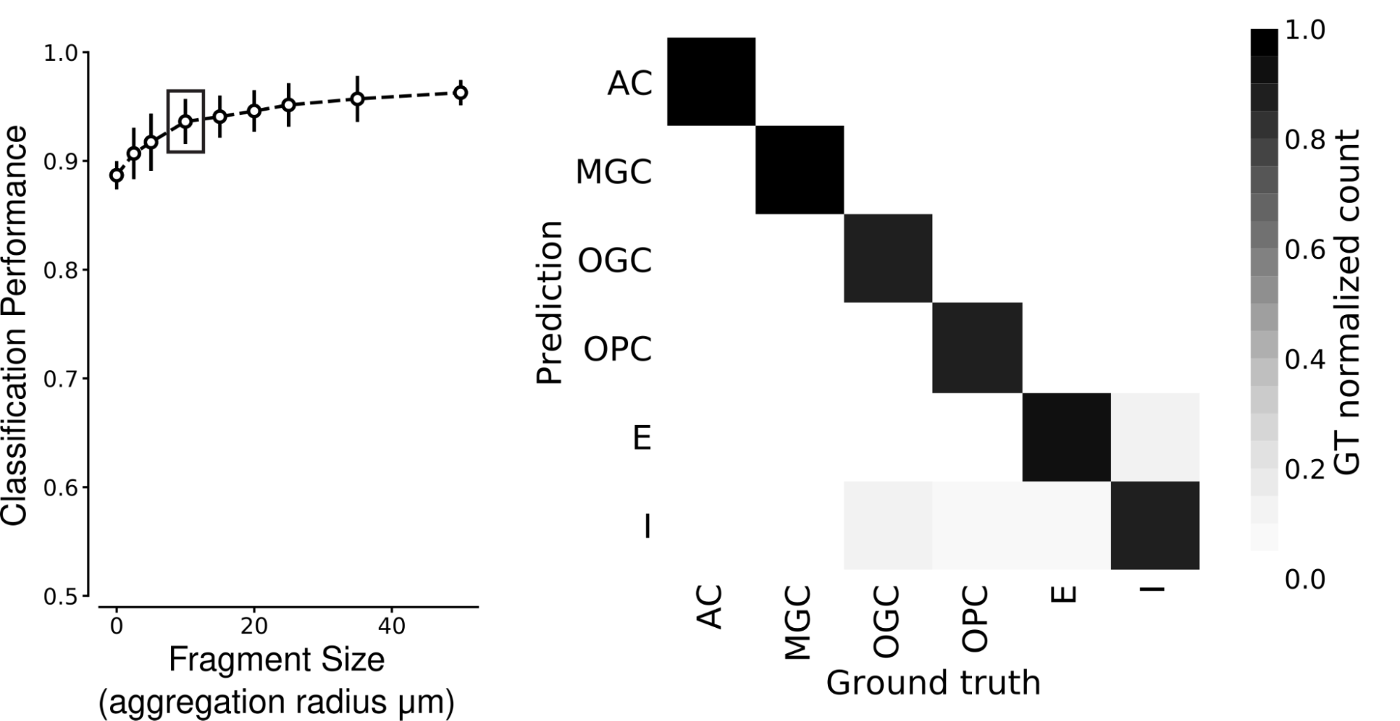 SegCLR：対照学習で教師なしで人間の脳をマッピングを作成(2/2)